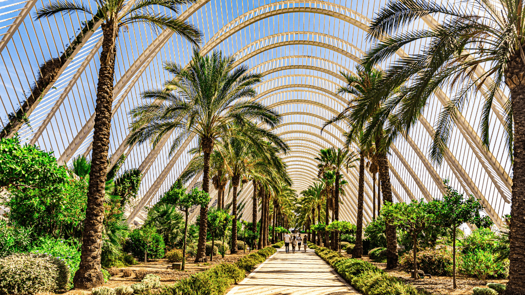 Parkmöglichkeiten in Valencia | DoYouSpain